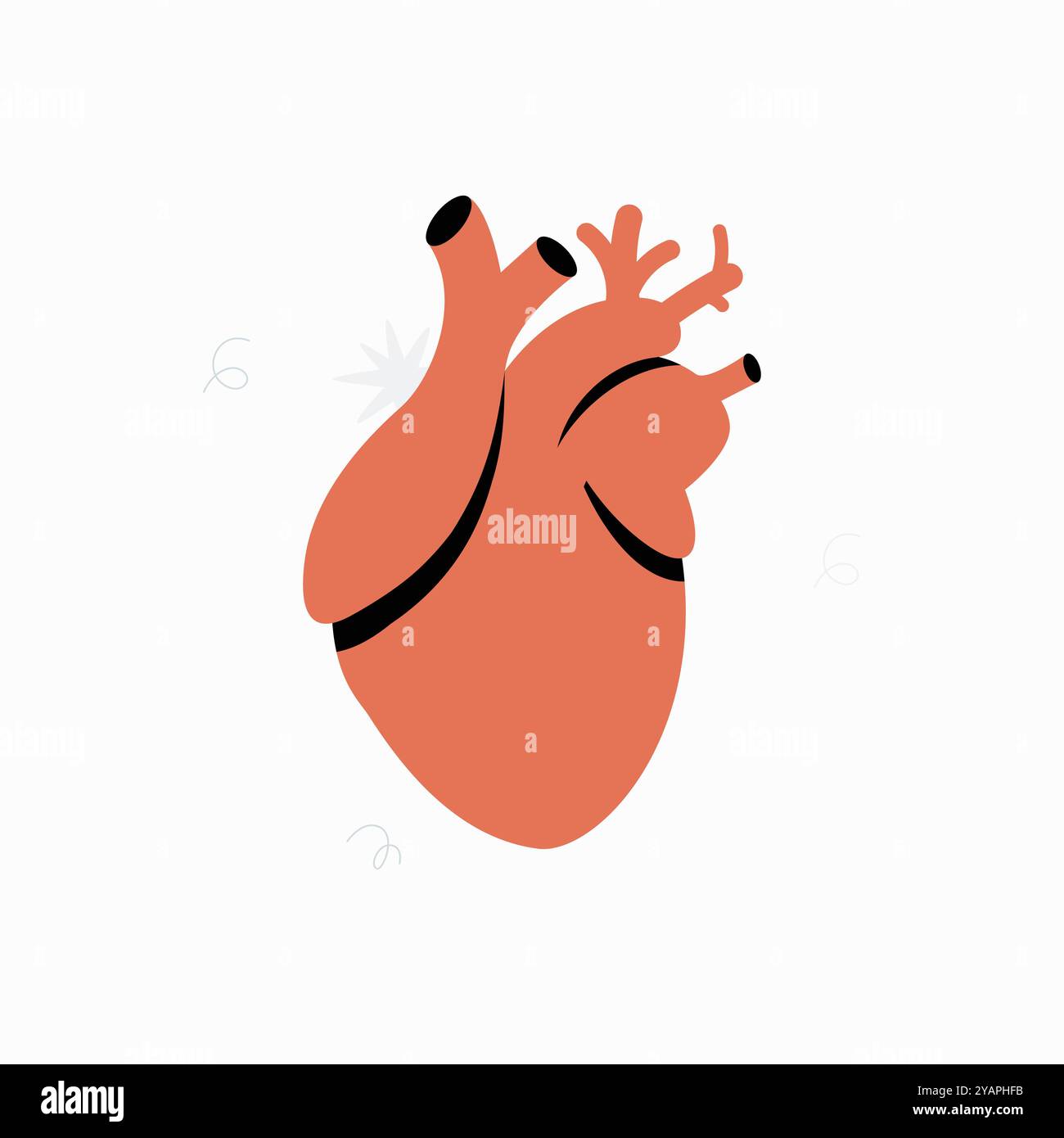 Heart and cardiovascular system vector hi-res stock photography and ...