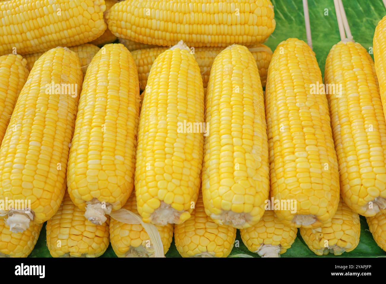 Fresh boiled corn, lying on a palm leaf. Photos without people. Stock ...