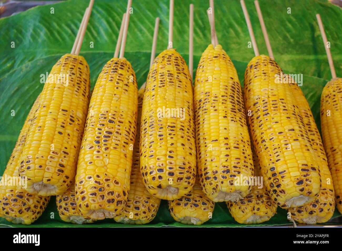 Fresh boiled corn, lying on a palm leaf. Photos without people. Stock ...