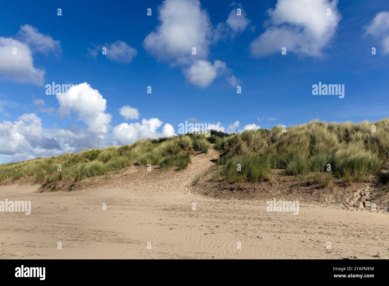 Beach sanddunes at Instow in North Devon Stock Photo - Alamy
