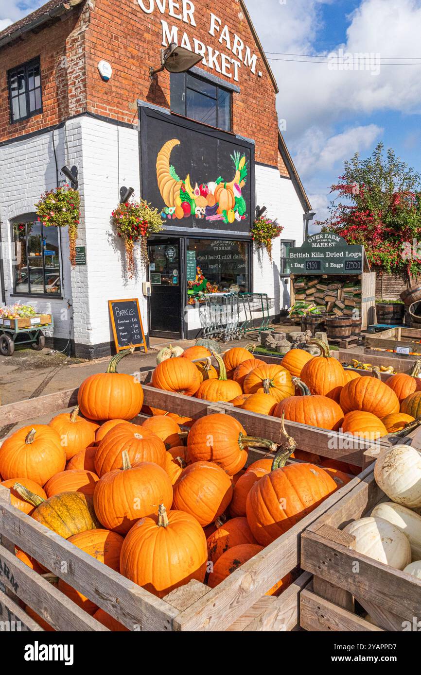 Pumpkins on sale in mid October at Over Farm Market, Gloucester ...