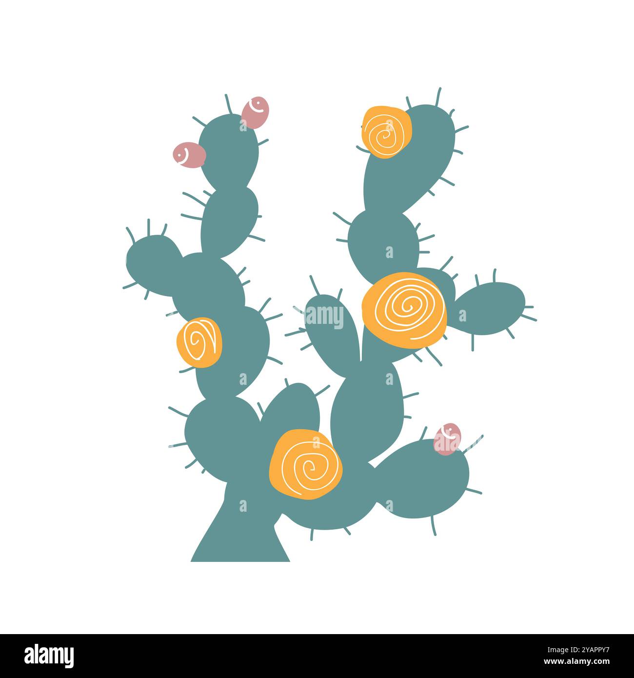 Opuntia cactus, doodle isolated illustration. Prickly pear vector Stock ...