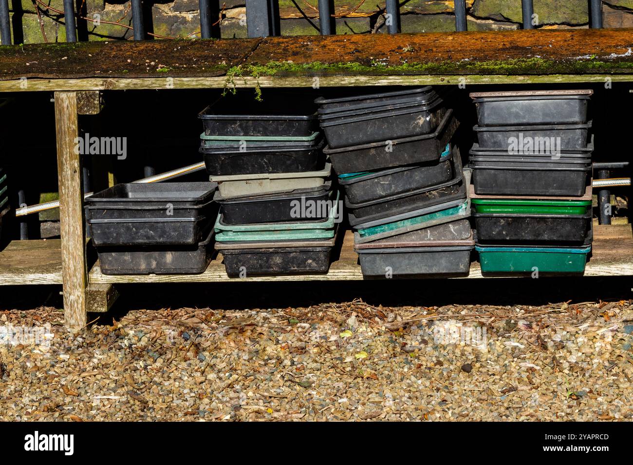 Plastic seed trays stored under wooden garden shelving. The trays are ...