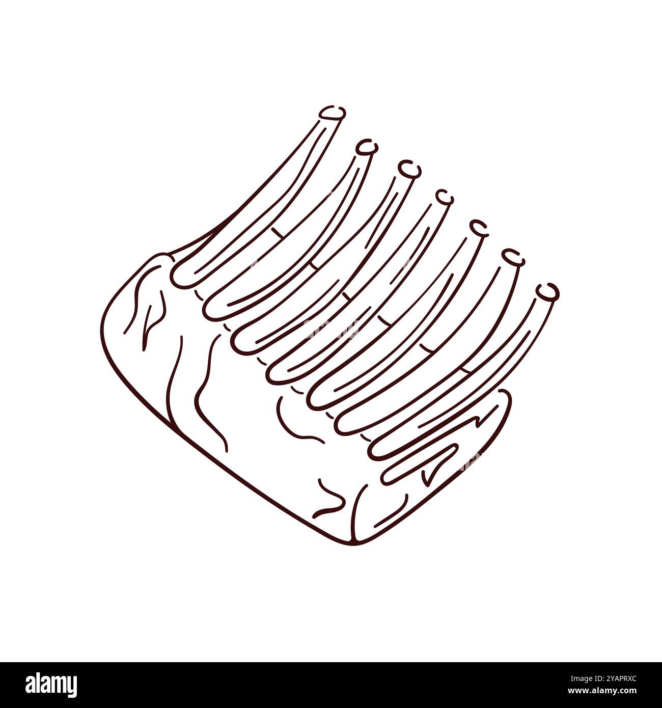 Rack of ribs in line art style. Suitable for culinary design, butcher ...
