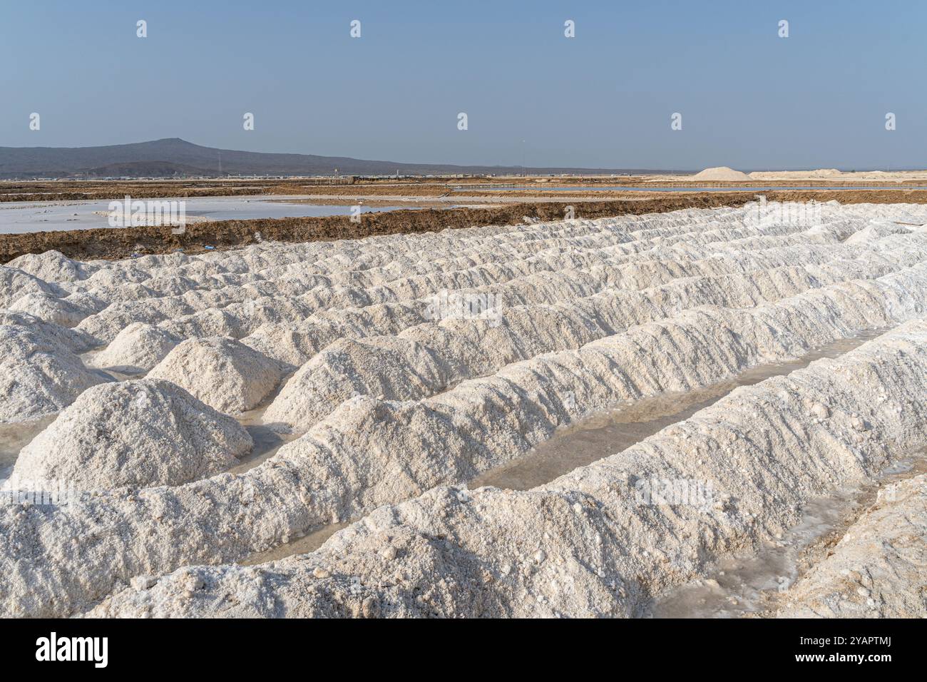 Sodium soil hi-res stock photography and images - Alamy