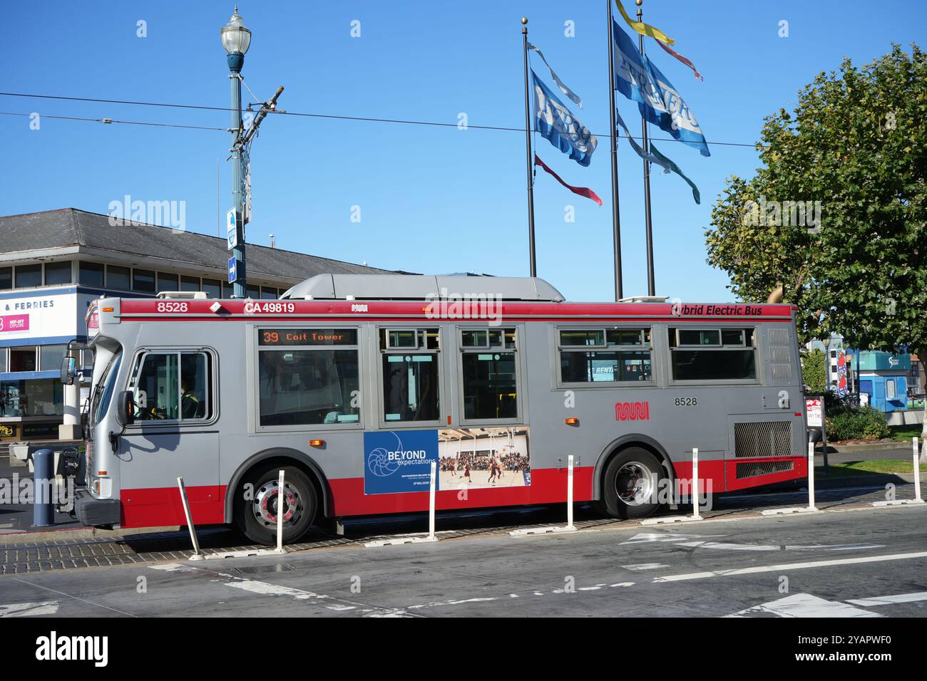 San Francisco Muni Hybrid Electric Bus 8528 Stock Photo - Alamy