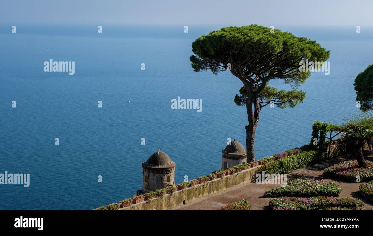 Majestic cliffs rise above the Amalfi Coast, where a lone tree stands ...