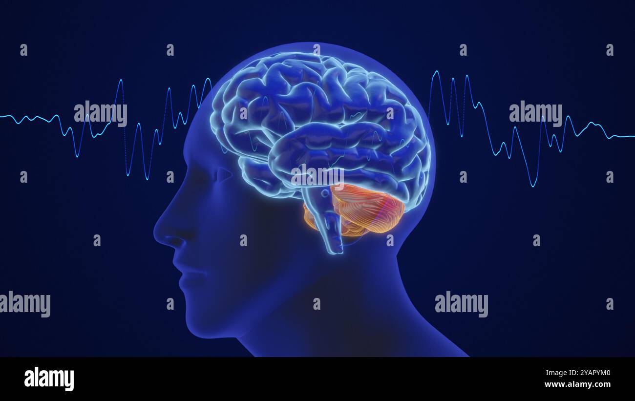 3D animation of the human brain intelligence and thinking with waves ...