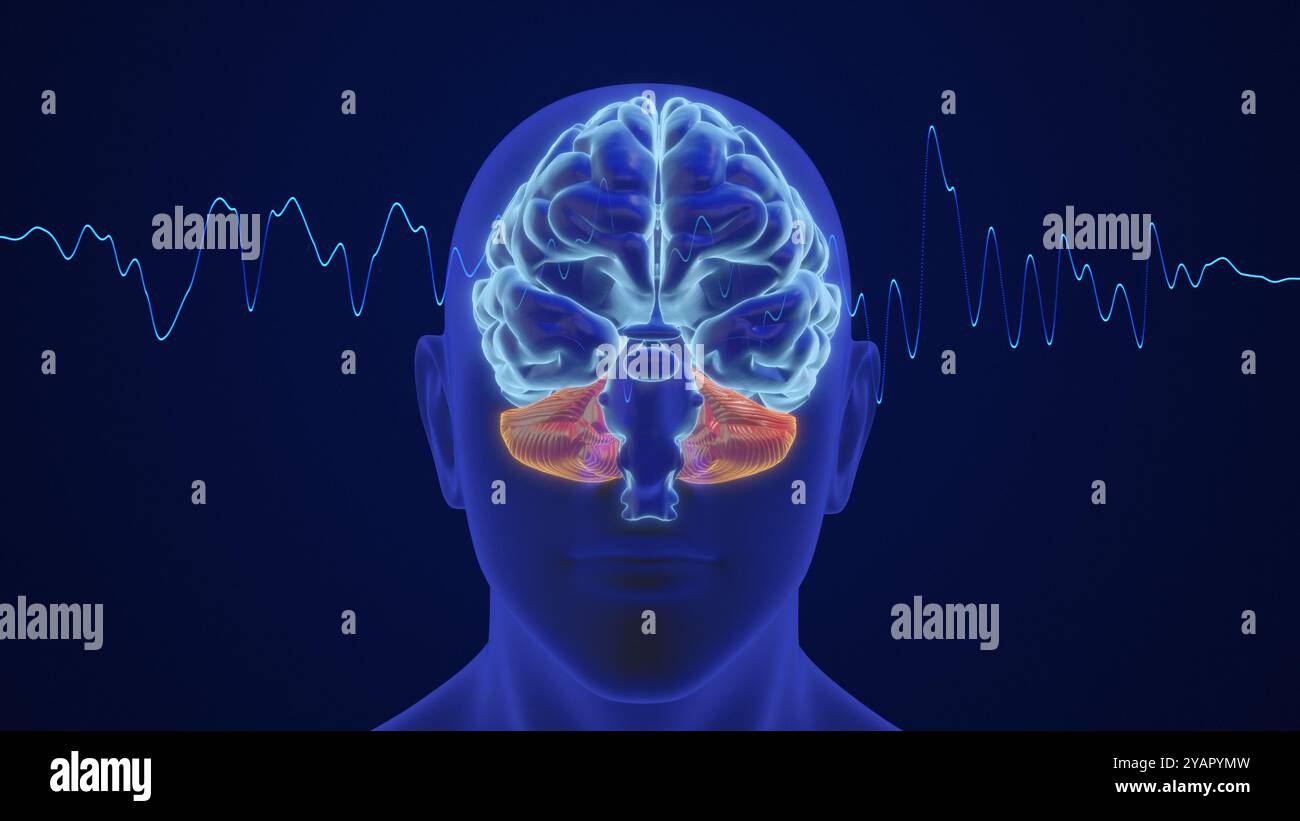 3D animation of the human brain intelligence and thinking with waves ...