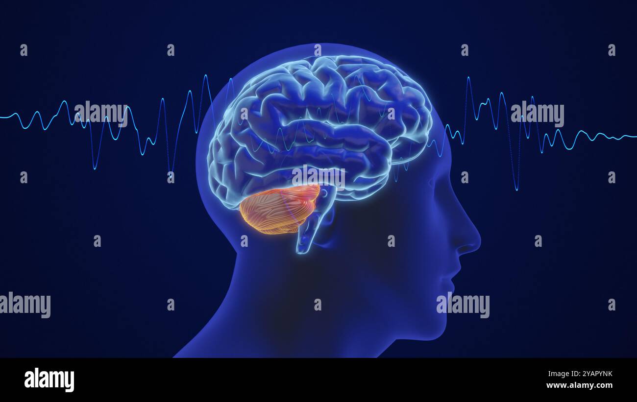 3D animation of the human brain intelligence and thinking with waves ...