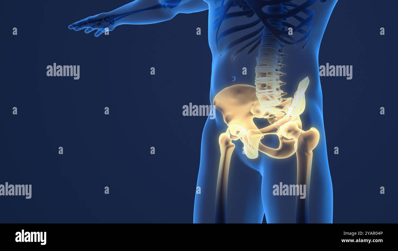 painful pelvis and cervical medical background Stock Photo - Alamy