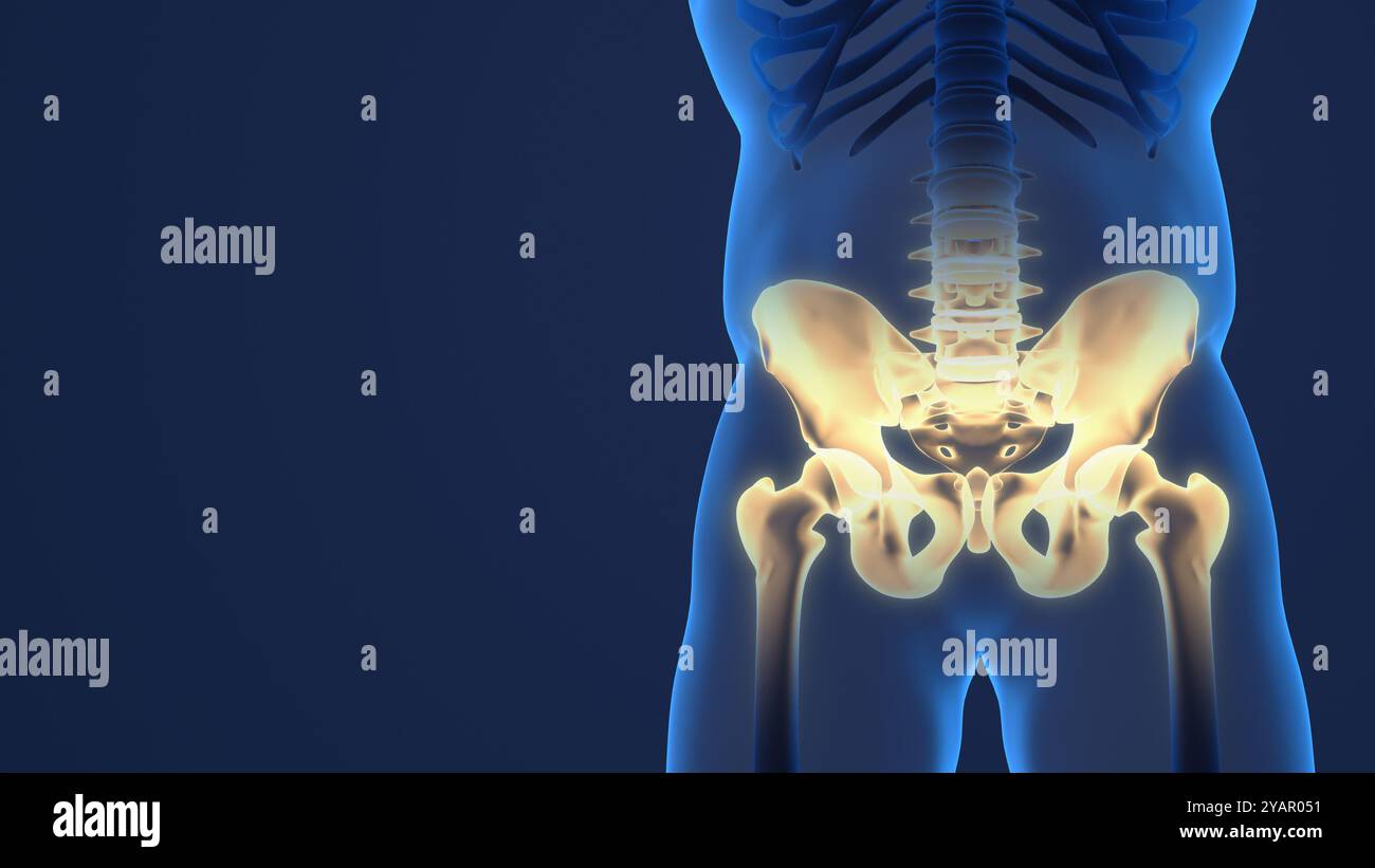 painful pelvis and cervical medical background Stock Photo - Alamy