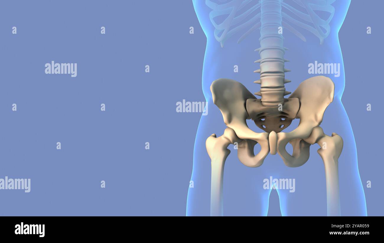 painful pelvis and cervical medical background Stock Photo - Alamy