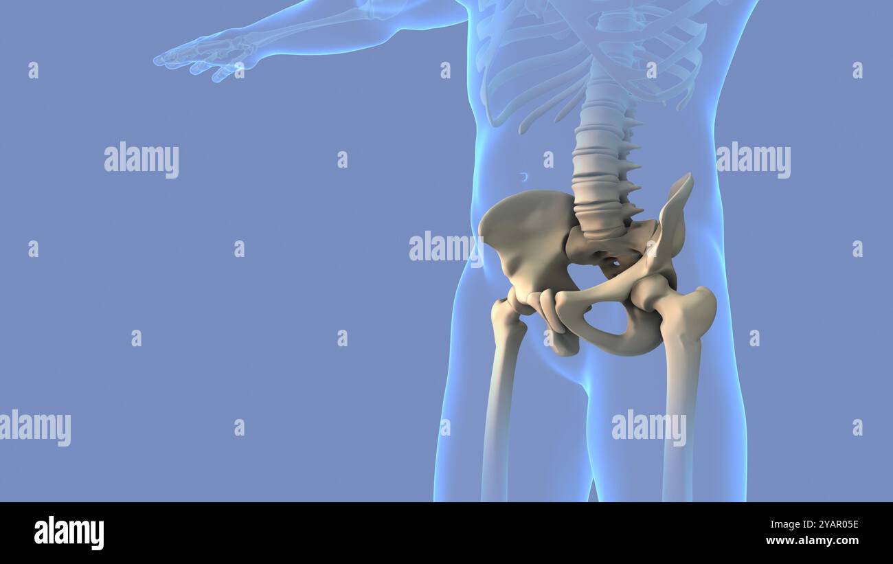 painful pelvis and cervical medical background Stock Photo - Alamy