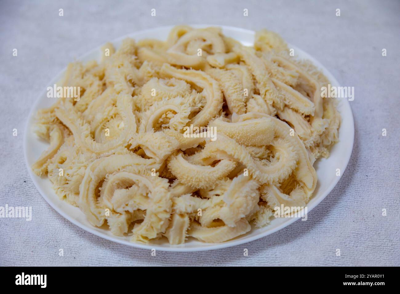 Beef tripe (bucho), beef stomach, tripe on a white plate. Dobradinha ...