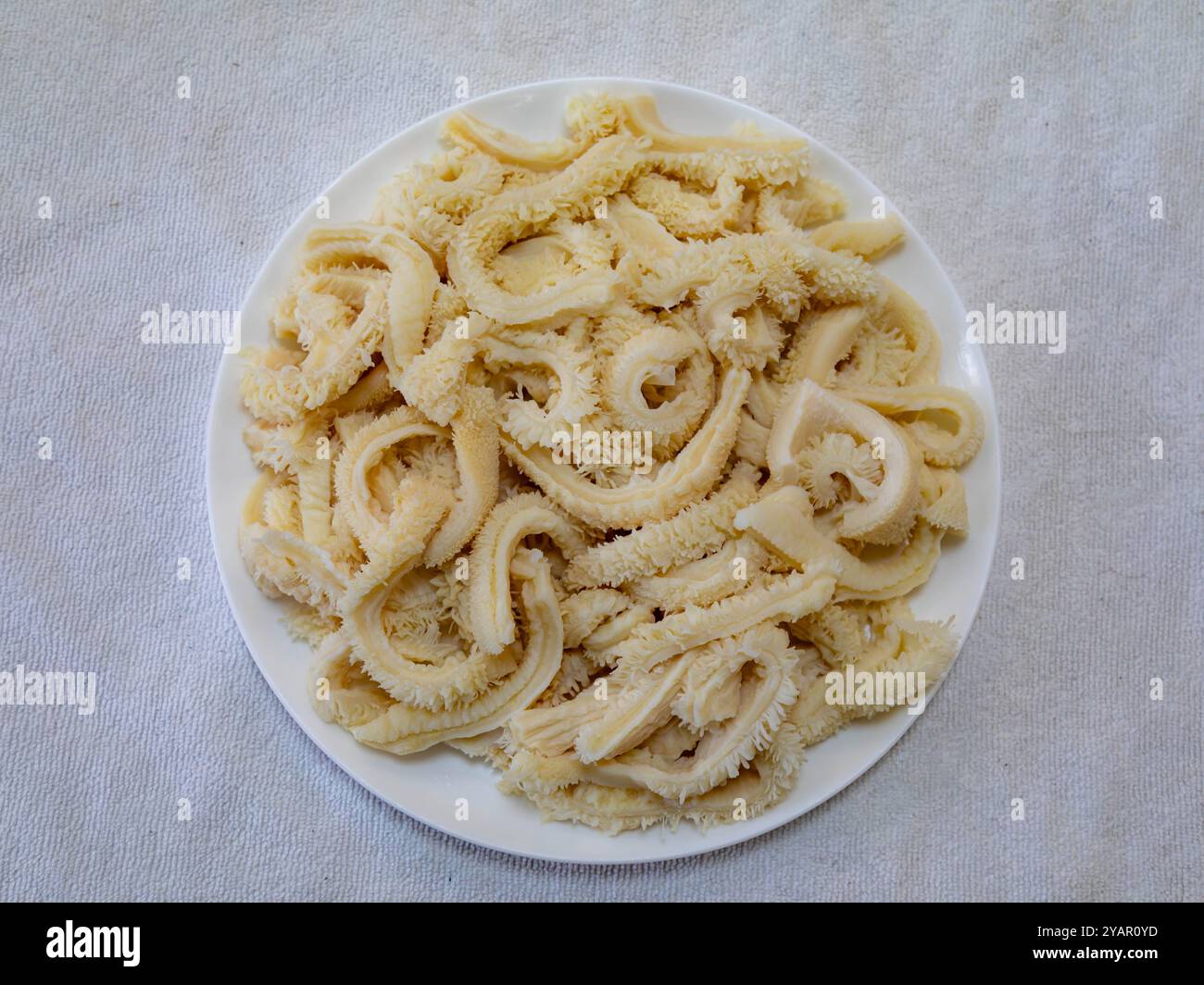 Beef tripe (bucho), beef stomach, tripe on a white plate. Dobradinha ...