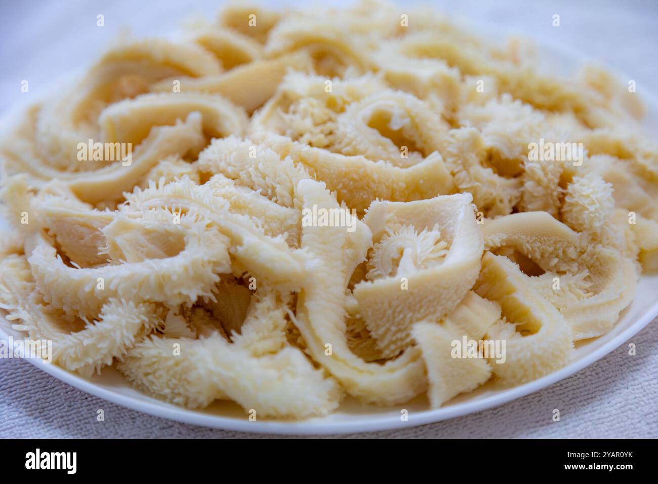 Beef tripe (bucho), beef stomach, tripe on a white plate. Dobradinha ...