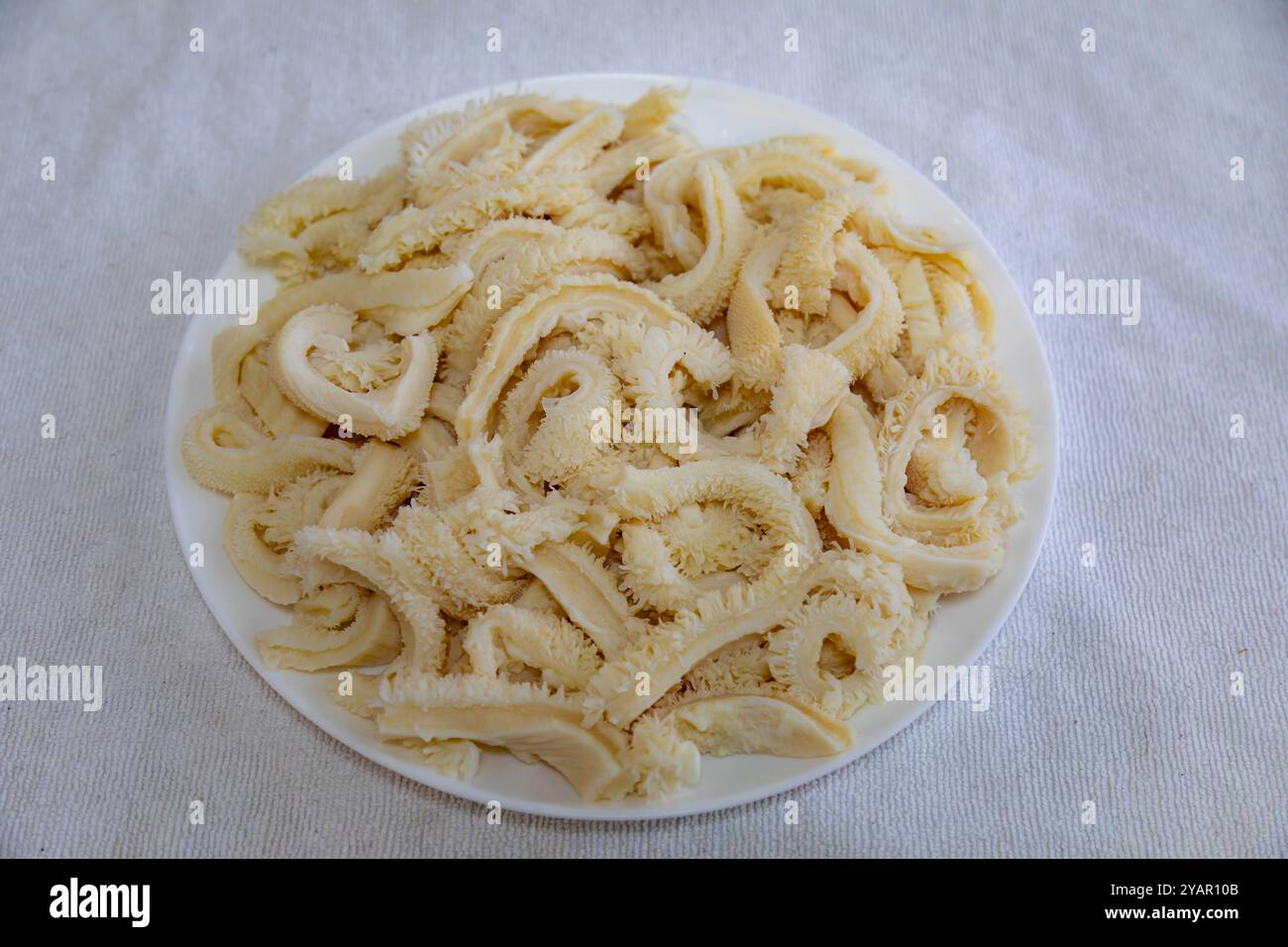 Beef tripe (bucho), beef stomach, tripe on a white plate. Dobradinha ...