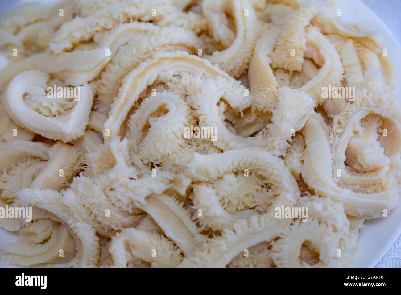 Beef tripe (bucho), beef stomach, tripe on a white plate. Dobradinha ...