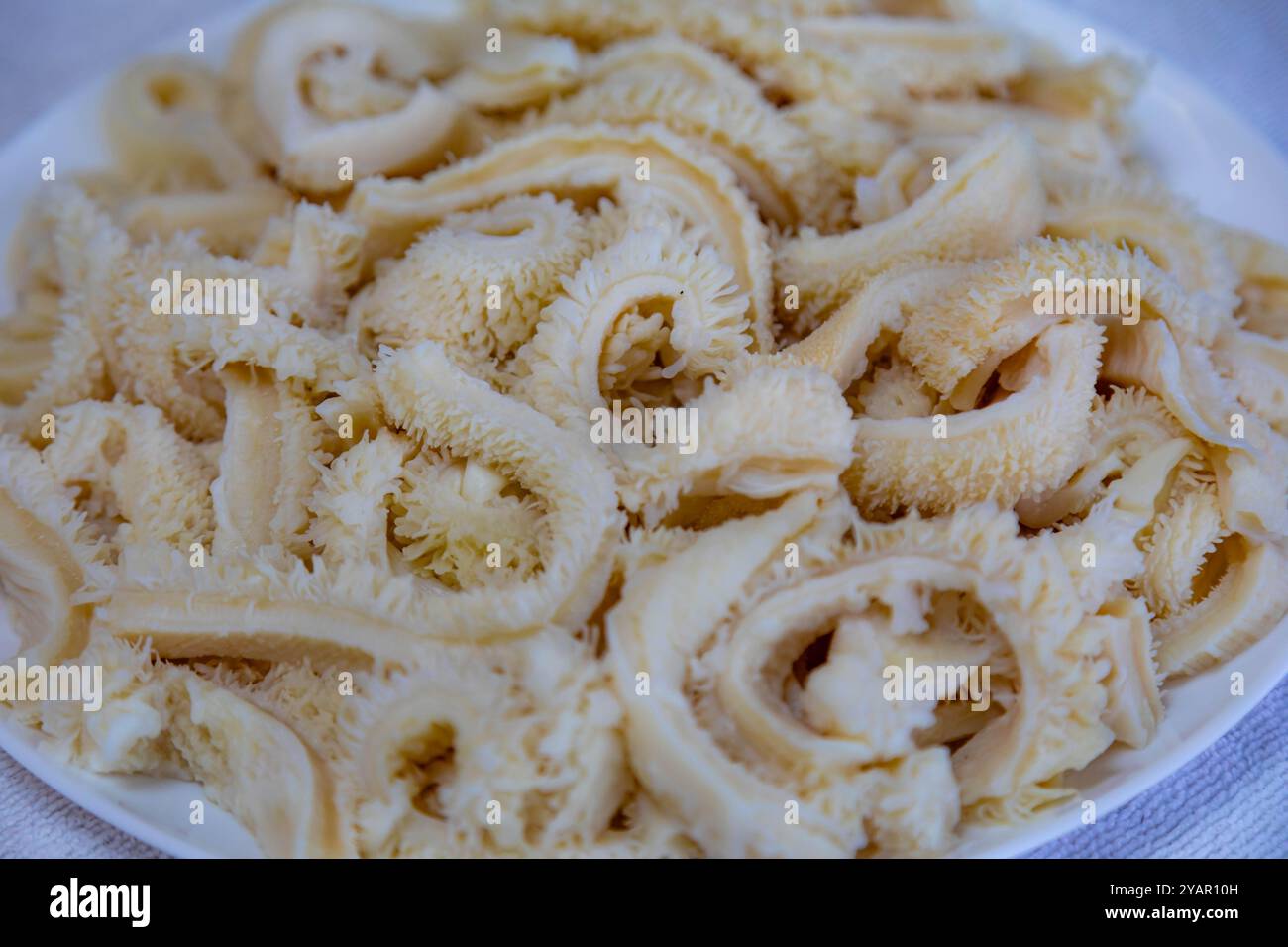 Beef tripe (bucho), beef stomach, tripe on a white plate. Dobradinha ...