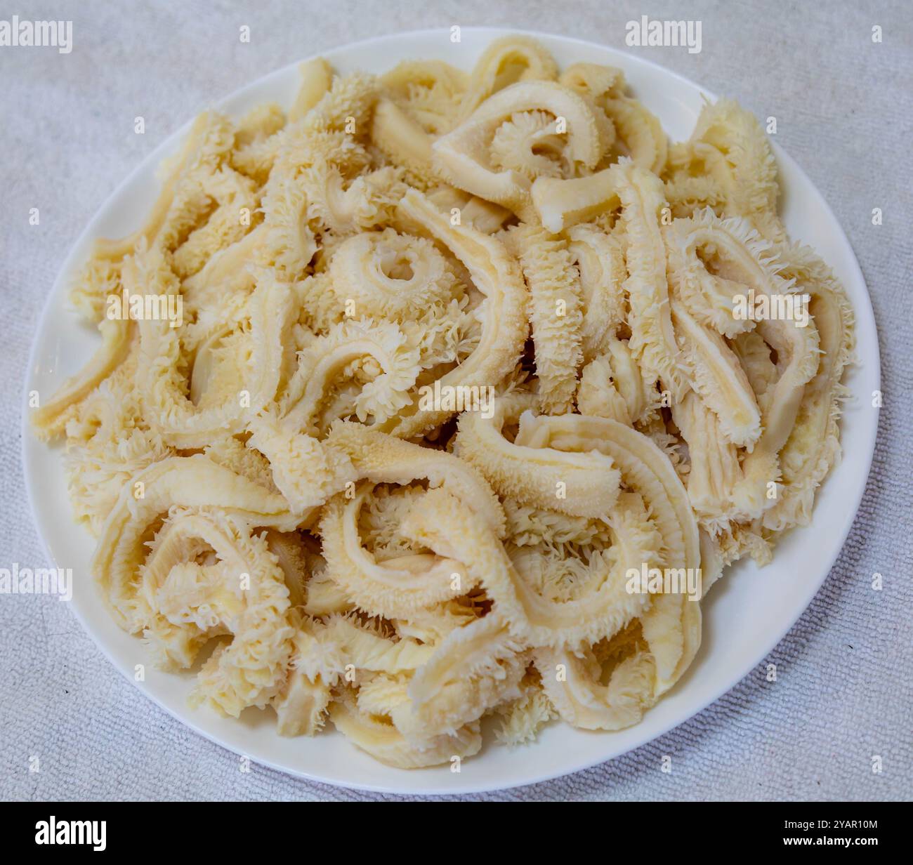Beef tripe (bucho), beef stomach, tripe on a white plate. Dobradinha ...