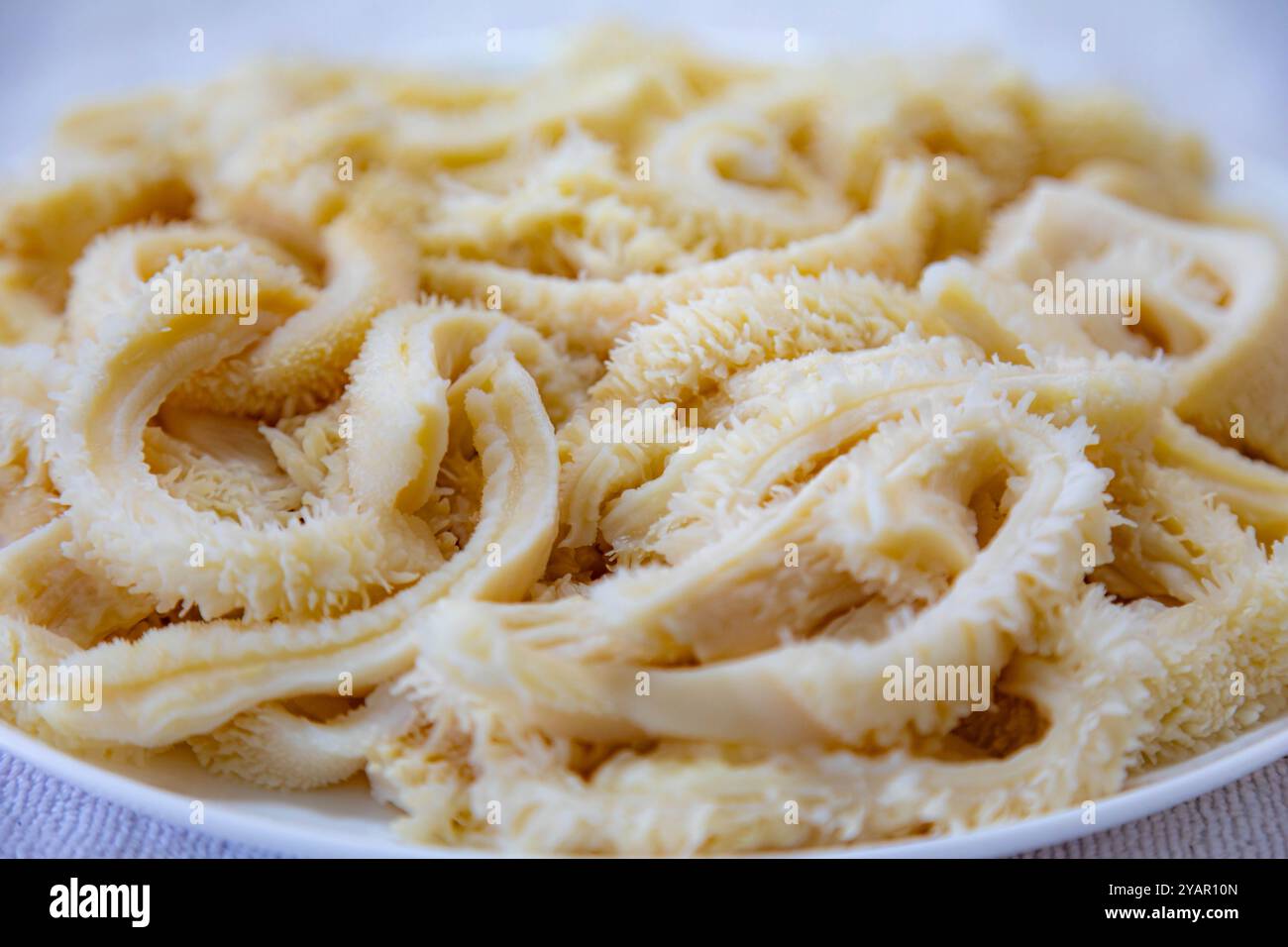 Beef tripe (bucho), beef stomach, tripe on a white plate. Dobradinha ...