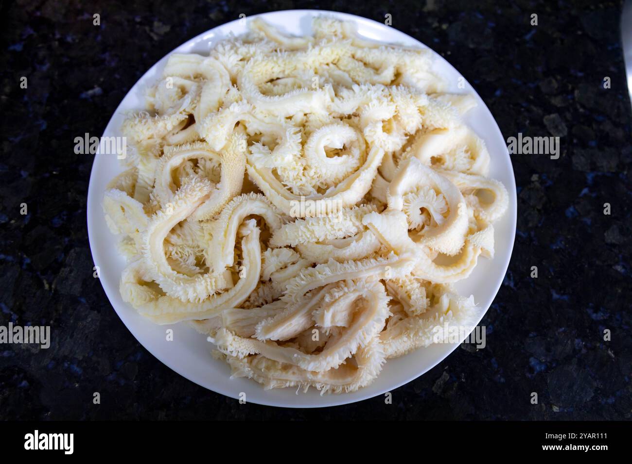 Beef tripe (bucho), beef stomach, tripe on a white plate. Dobradinha ...