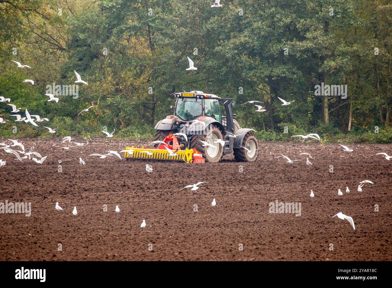 Tractor and farmer disc harrowing a farm field after ploughing ready ...