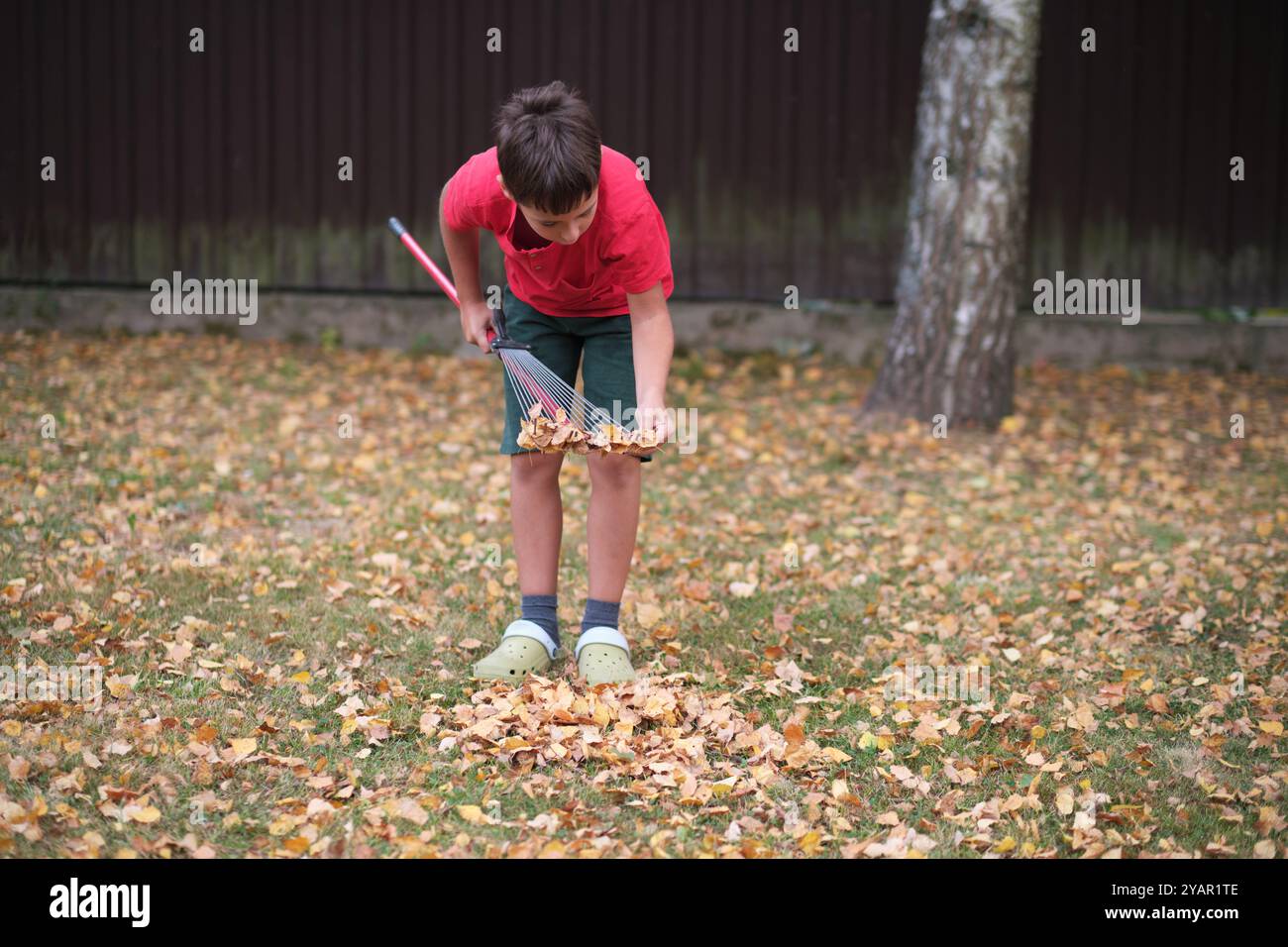 Young boy engaging in yard work, raking leaves with determination ...