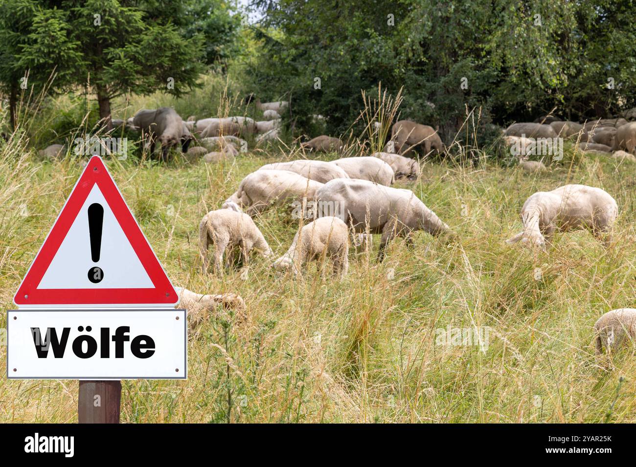 Warning sign Wolf in Germany Stock Photo - Alamy