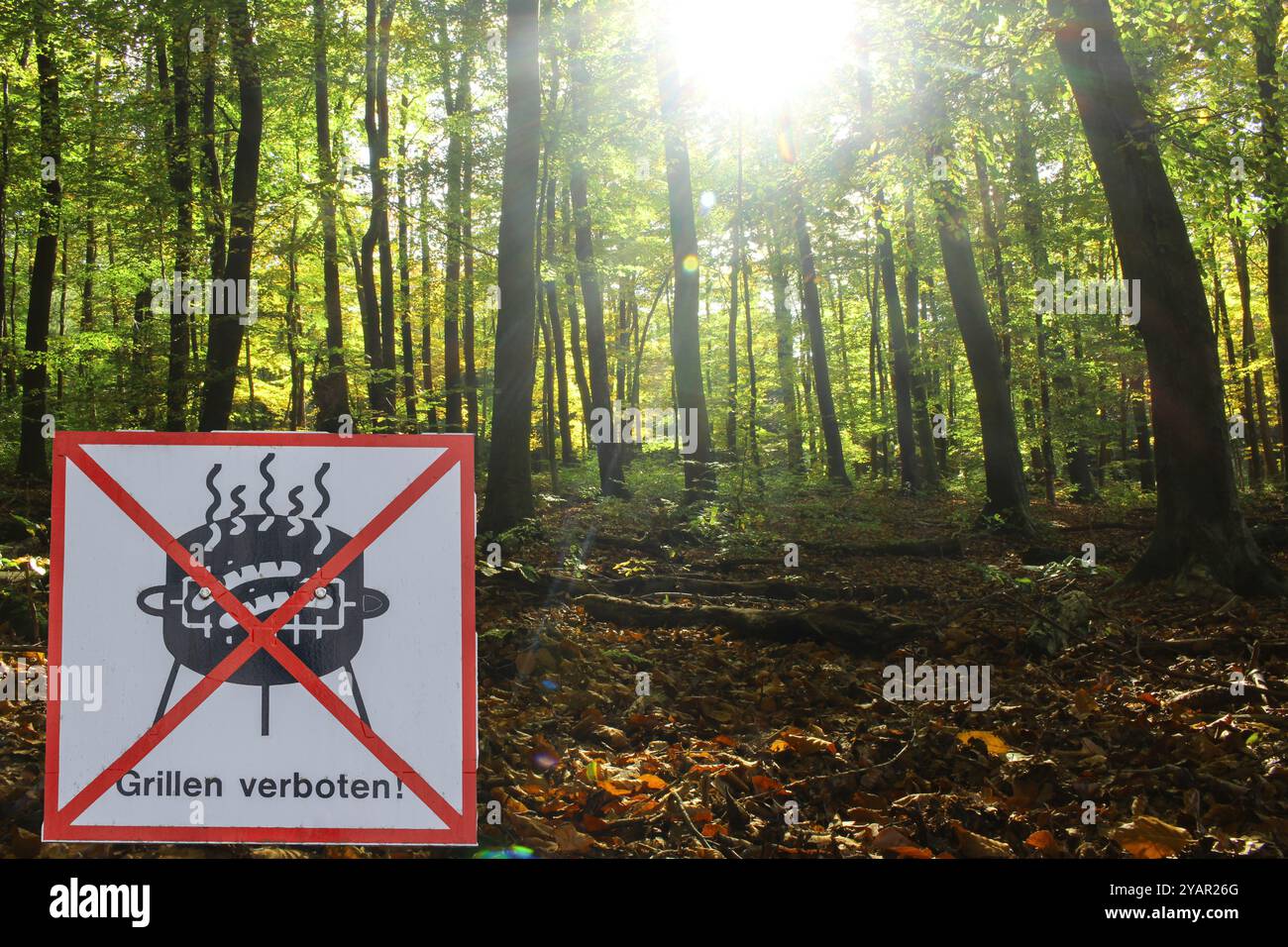 Warning sign with a barbecue grill forbidden to grill Stock Photo - Alamy