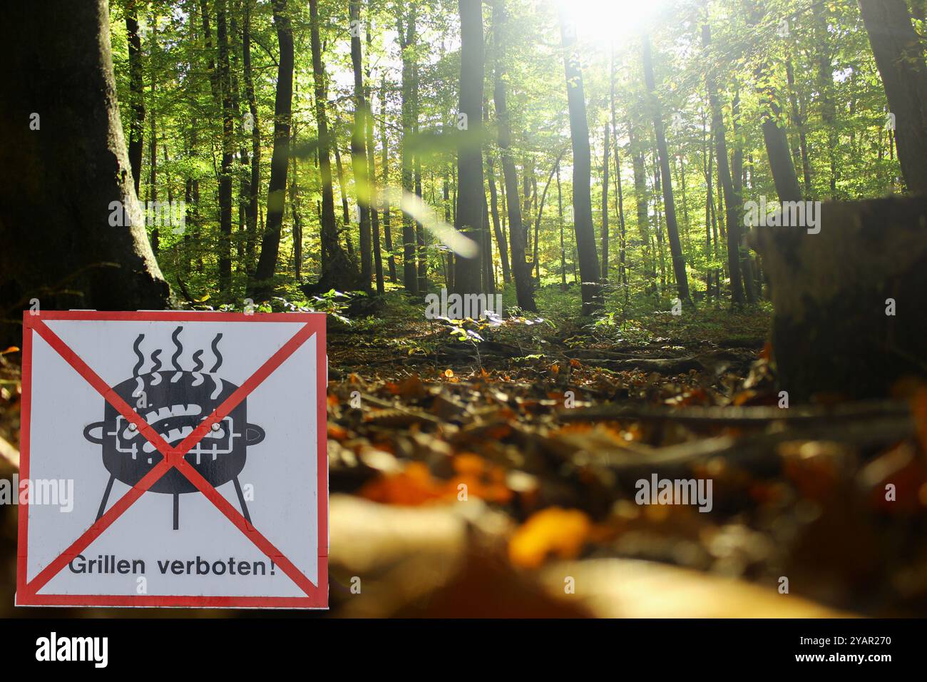 Warning sign with a barbecue grill forbidden to grill Stock Photo - Alamy
