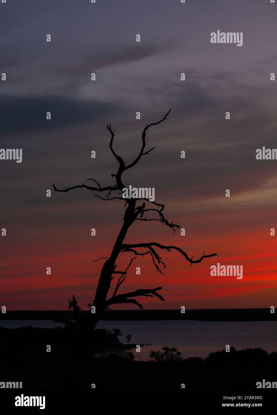 Joe pool lake hi-res stock photography and images - Alamy