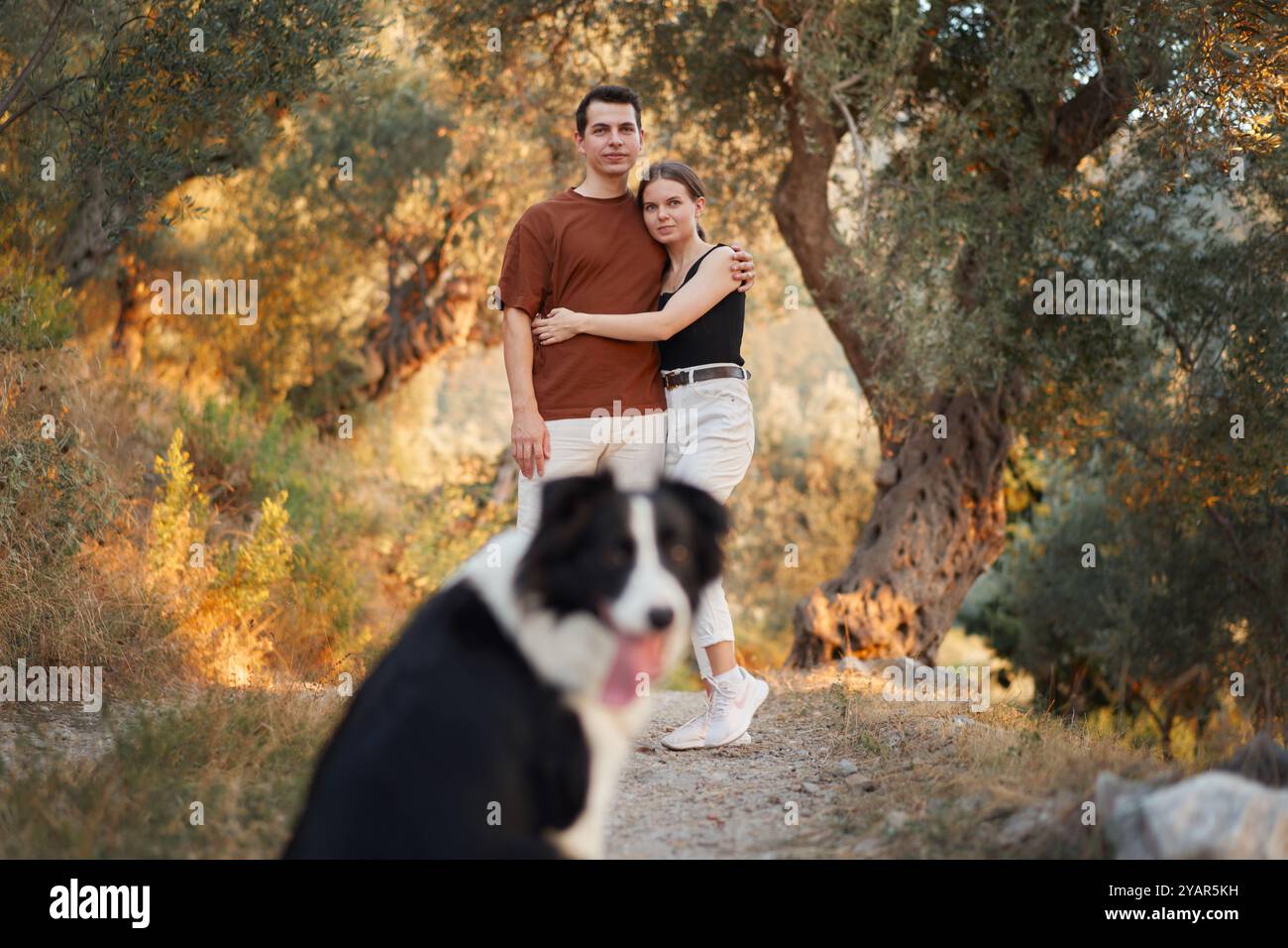 A Border Collie stays close to its owners as they walk through a sunlit ...