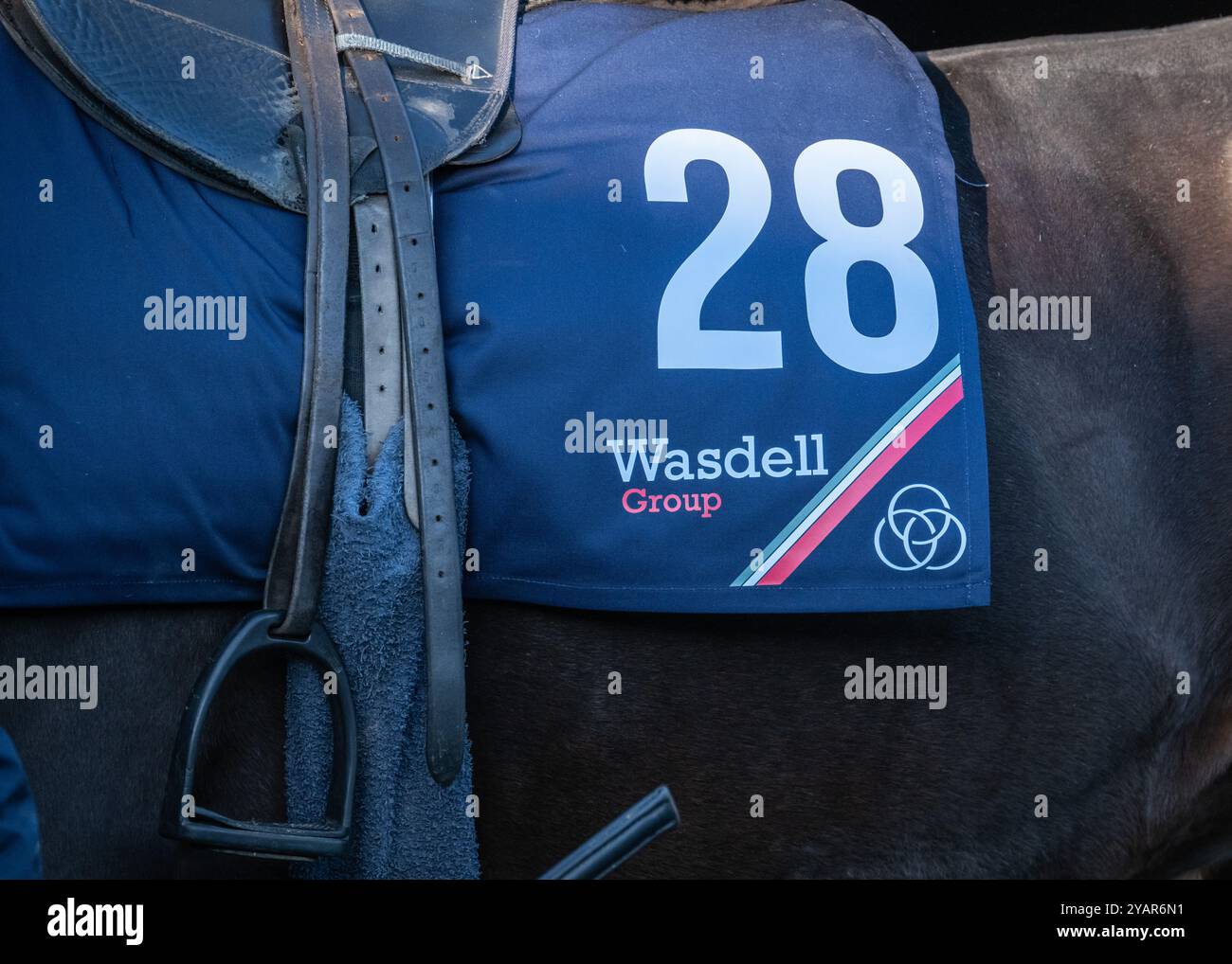 O'Neill Racing - Jackdaws Castle - Oct 2024 Stock Photo - Alamy