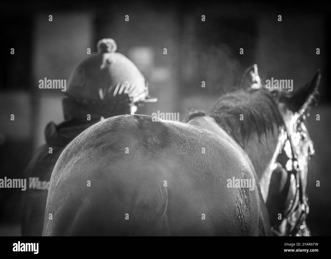 O'Neill Racing - Jackdaws Castle - Oct 2024 Stock Photo - Alamy