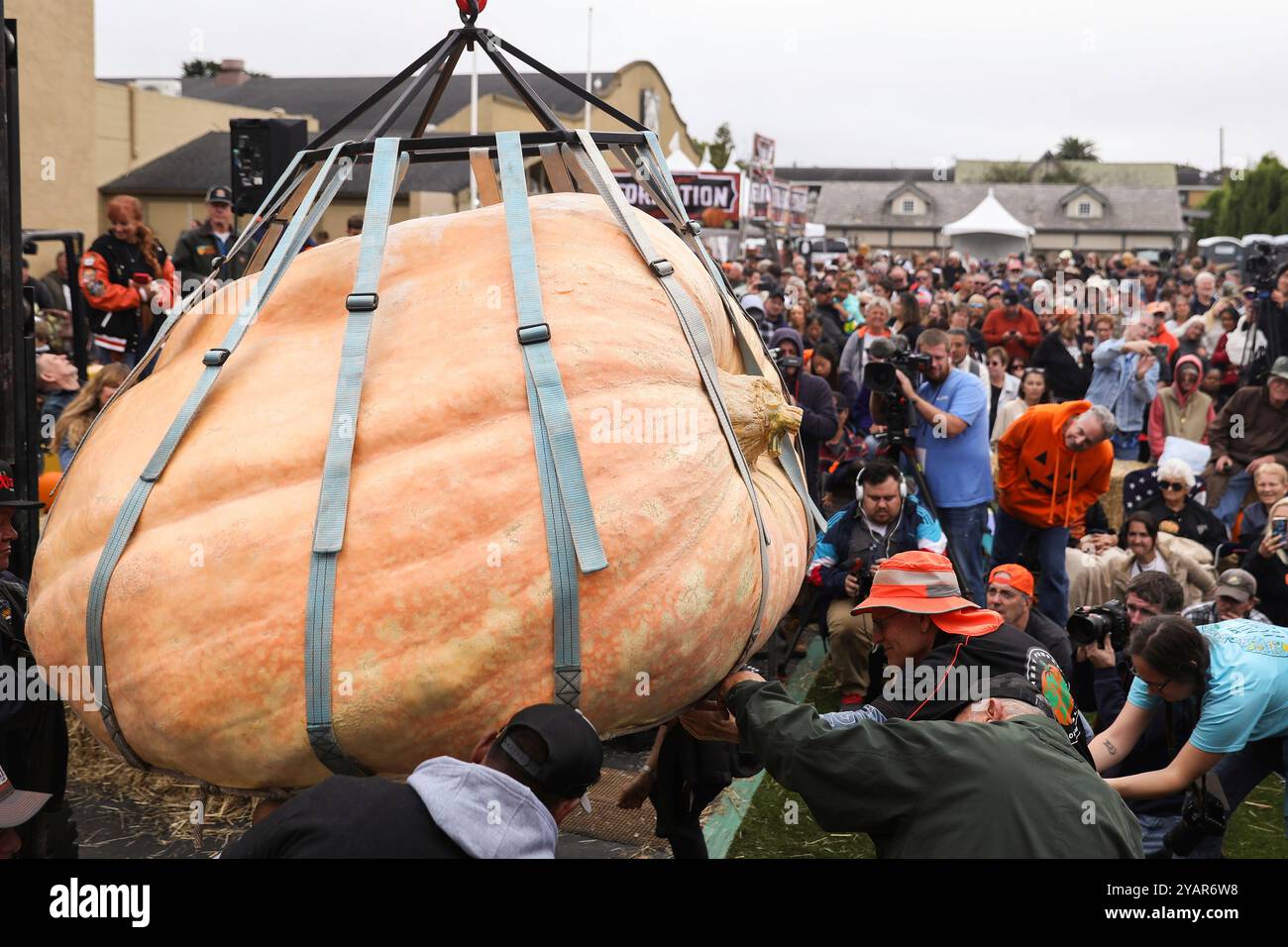A pumpkin grown by Brandon Dawson, of Sonoma, is lifted onto the scale ...