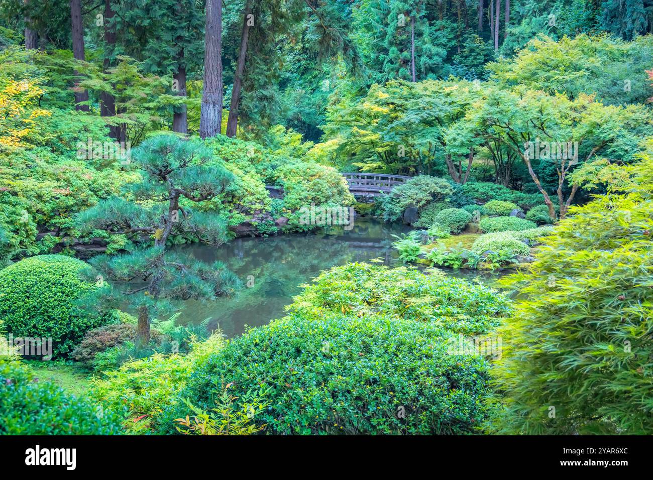The Japanese Garden in Portland, Oregon, USA Stock Photo - Alamy