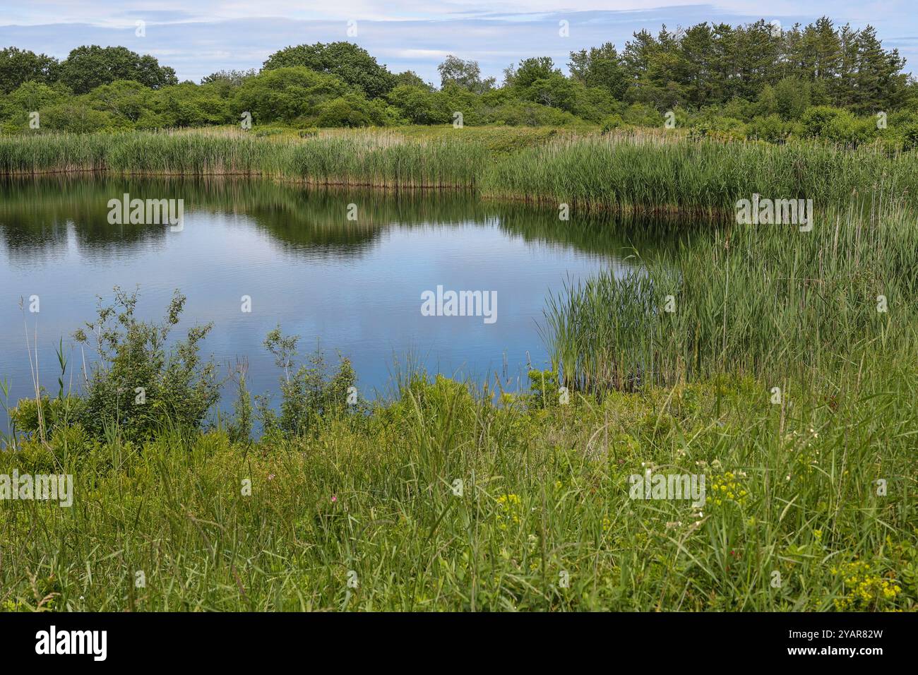 P.I. as it is known to locals is a barrier island, located on the ...