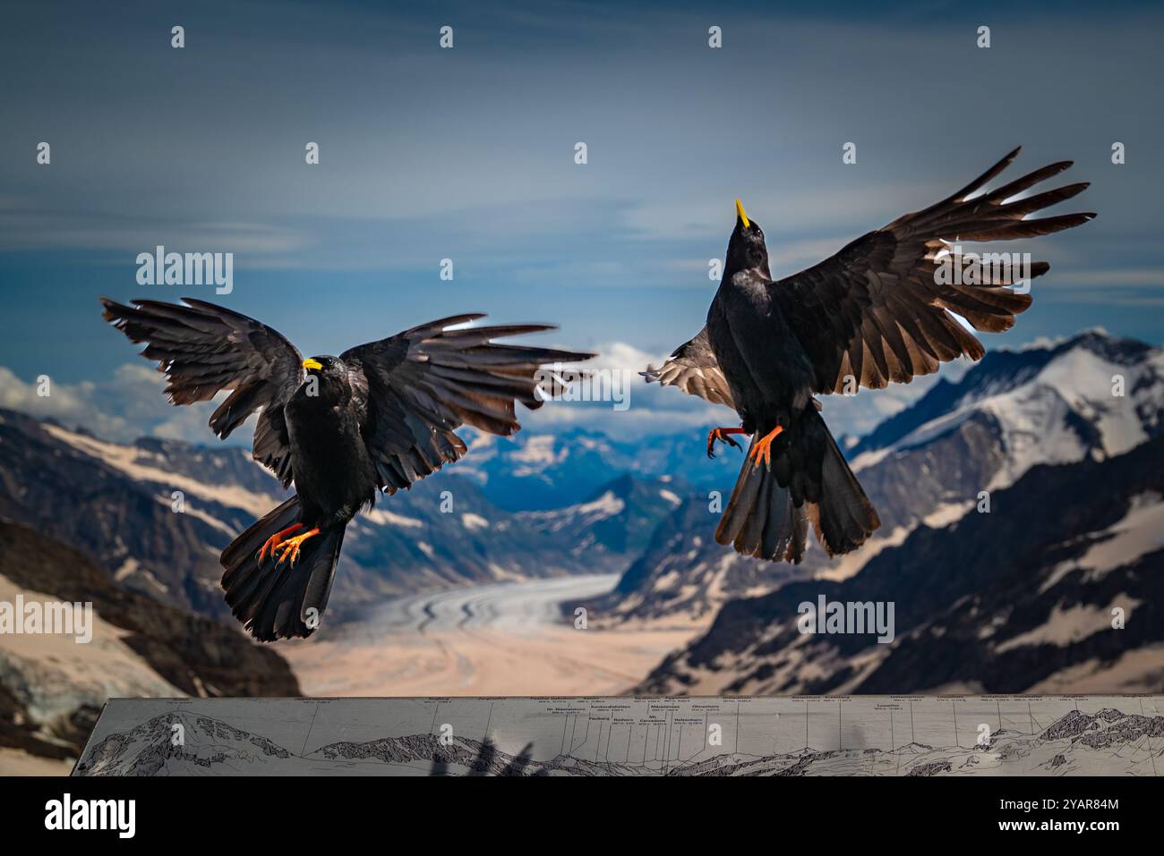 Alpine bird view hi-res stock photography and images - Alamy