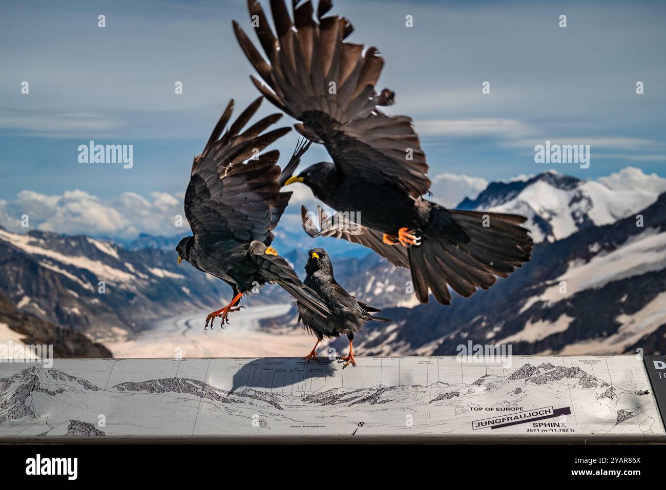 Alpine bird view hi-res stock photography and images - Alamy