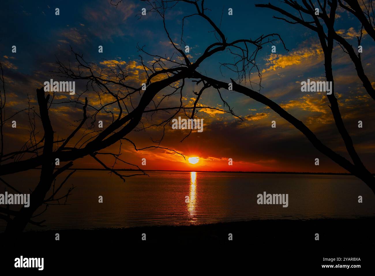 Joe pool lake hi-res stock photography and images - Alamy