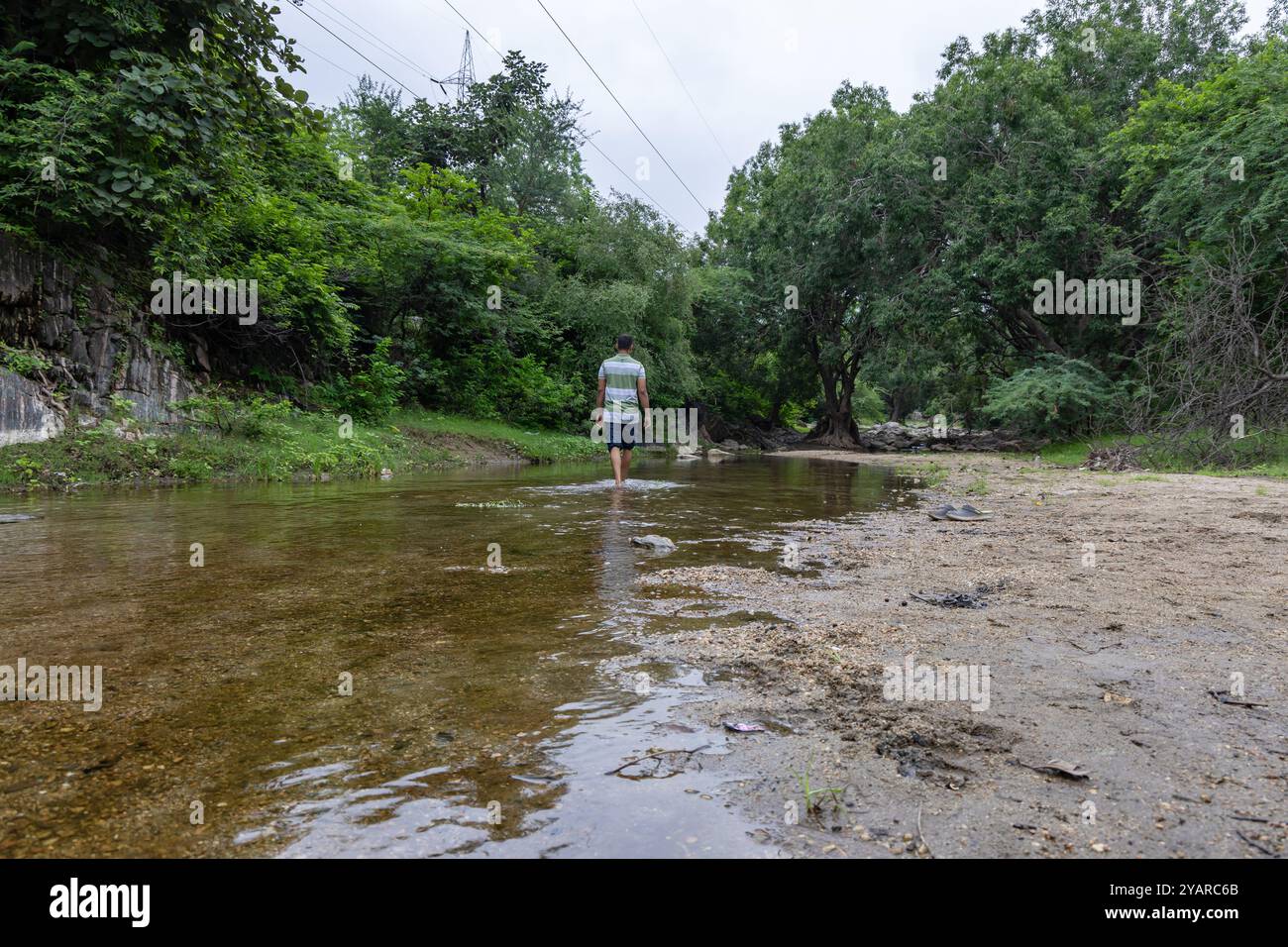 Tranquil Rainforest Scene with Calm river Water and Dense Greenery at ...