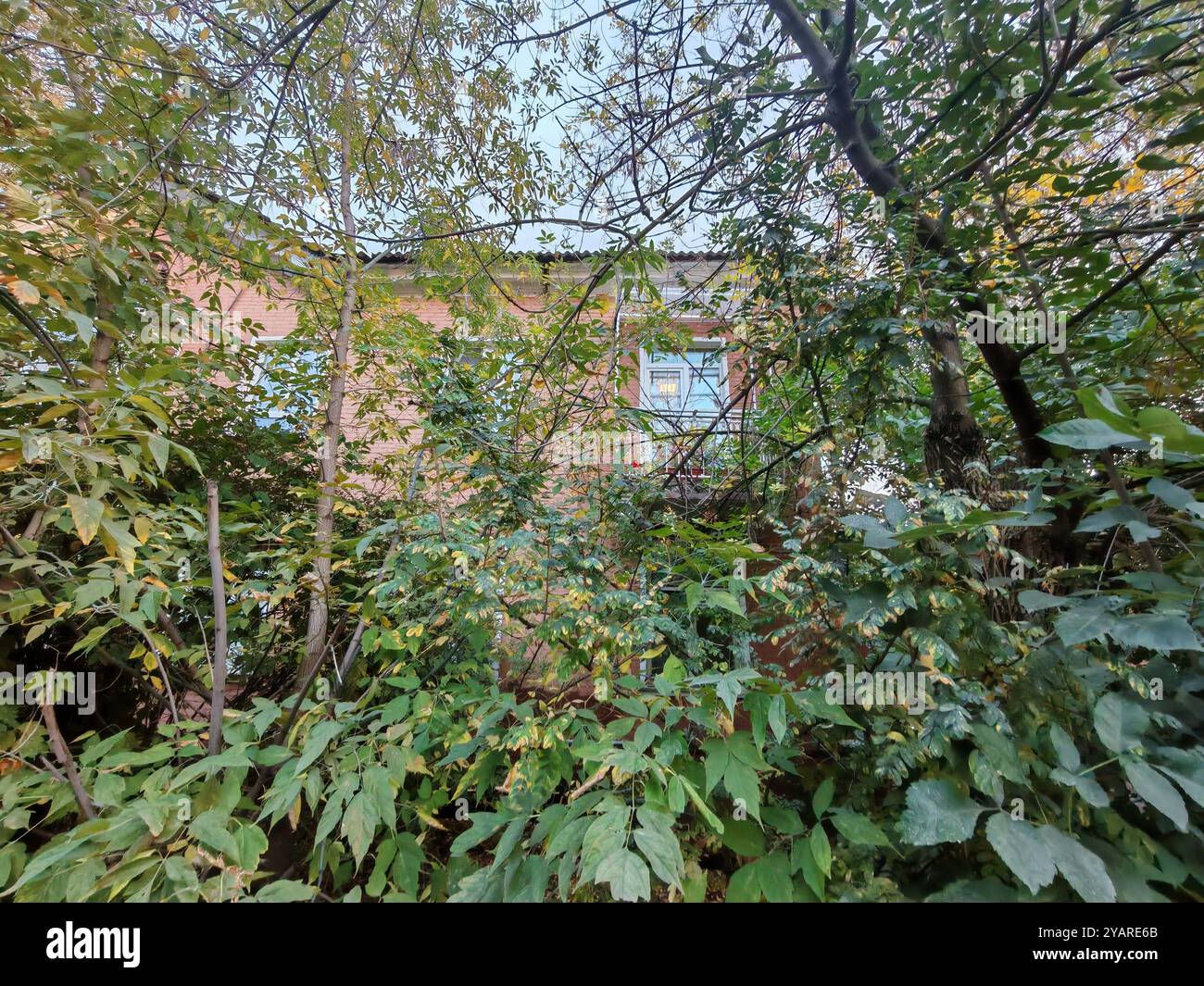 A vintage brick building with balconies and a gated entry, shaded by ...