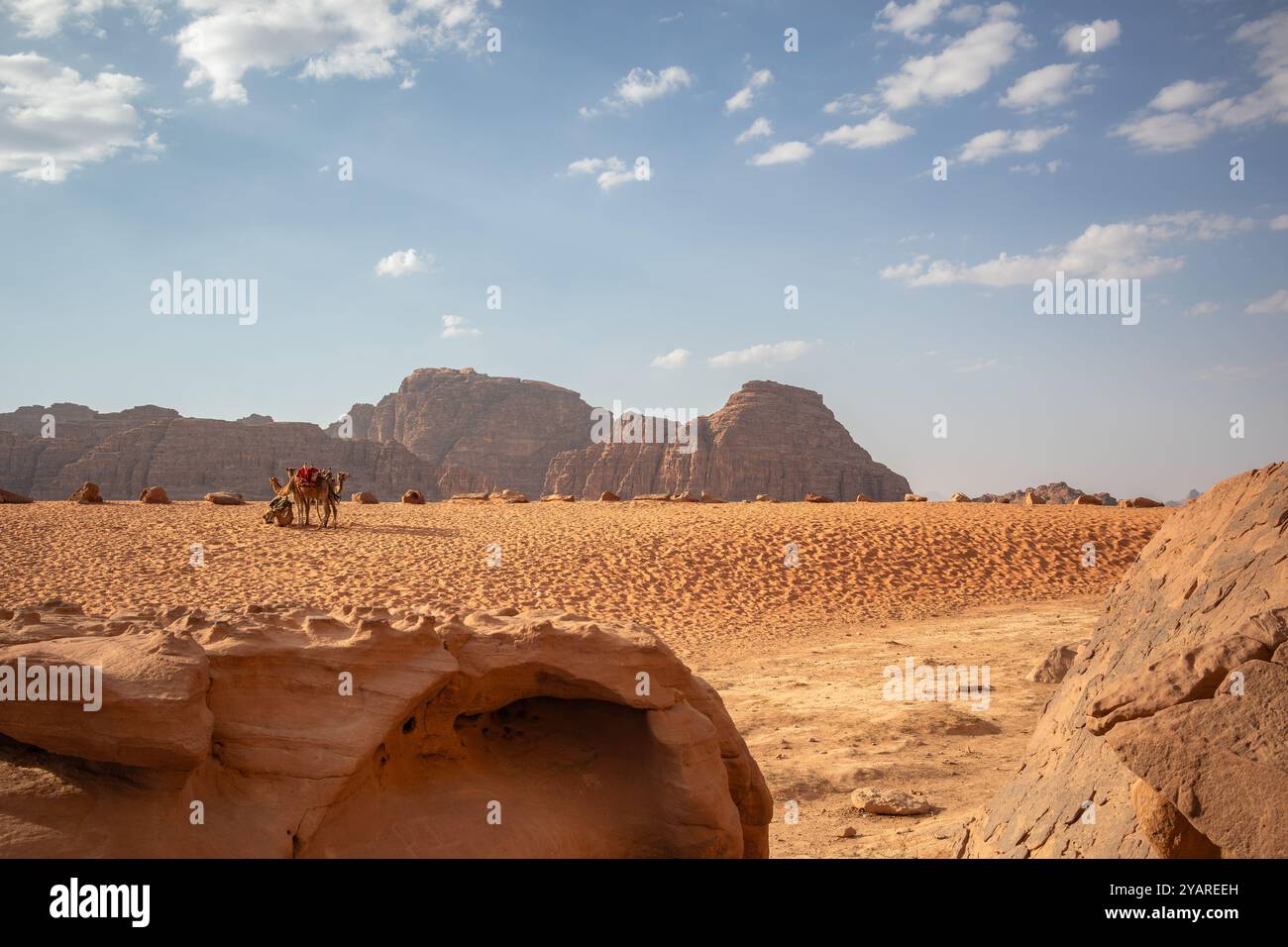 Beautiful day in jordanian hi-res stock photography and images - Alamy