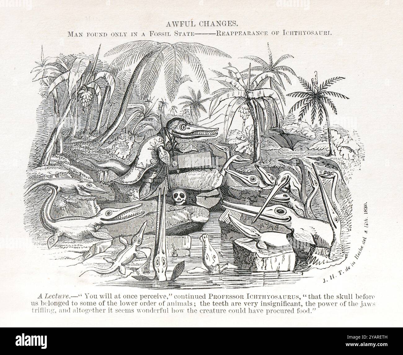 Ammonites buckland hi-res stock photography and images - Alamy