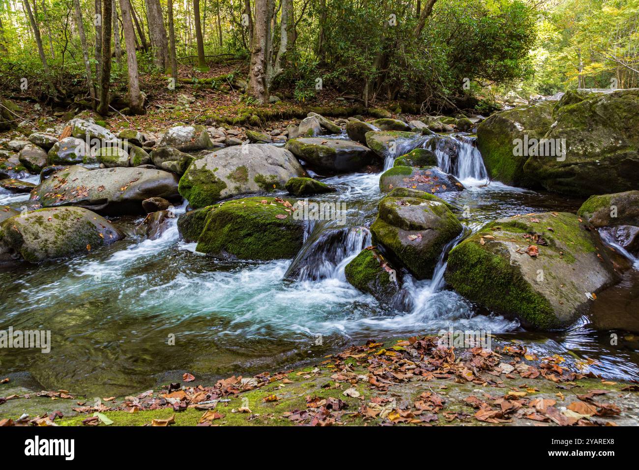 The Little River flows along the Little River Trail in the Great Smoky ...