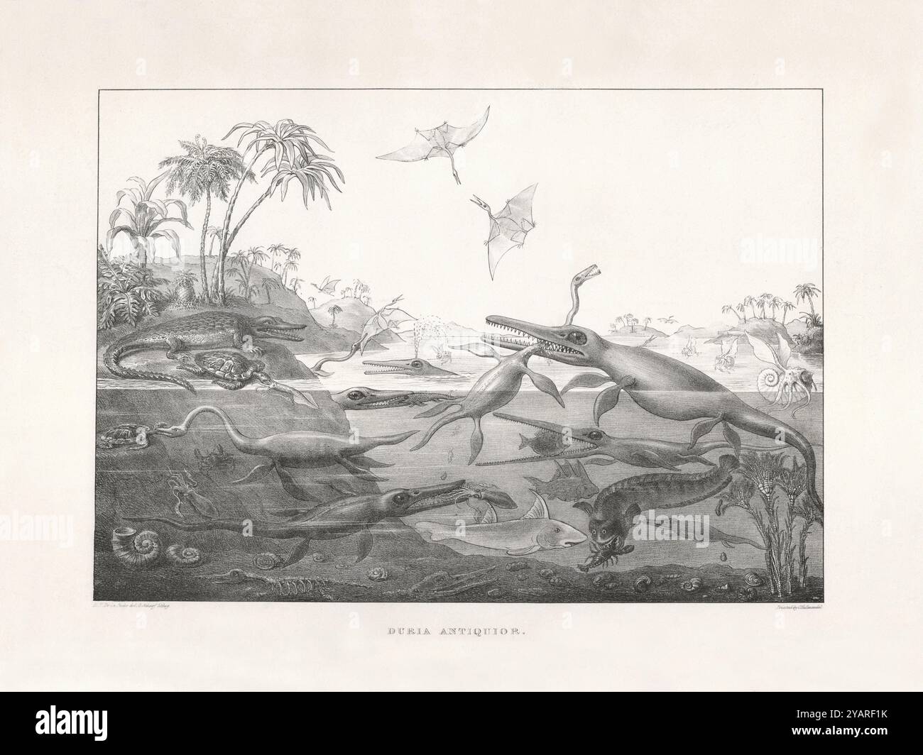 Henry de la beche duria antiquior hi-res stock photography and images ...