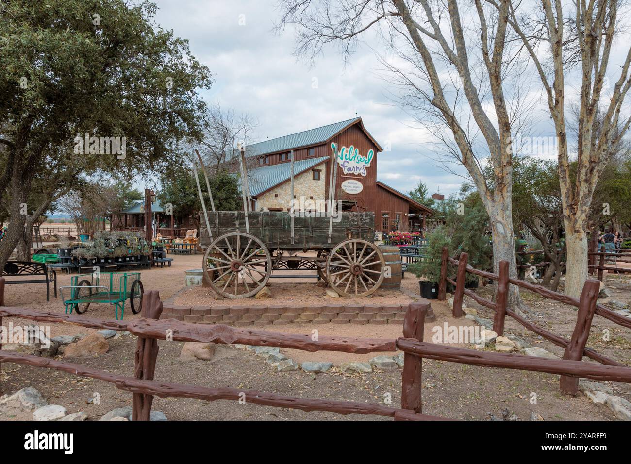 Antique covered wagon on display at the Wildseed Farms nursery in ...