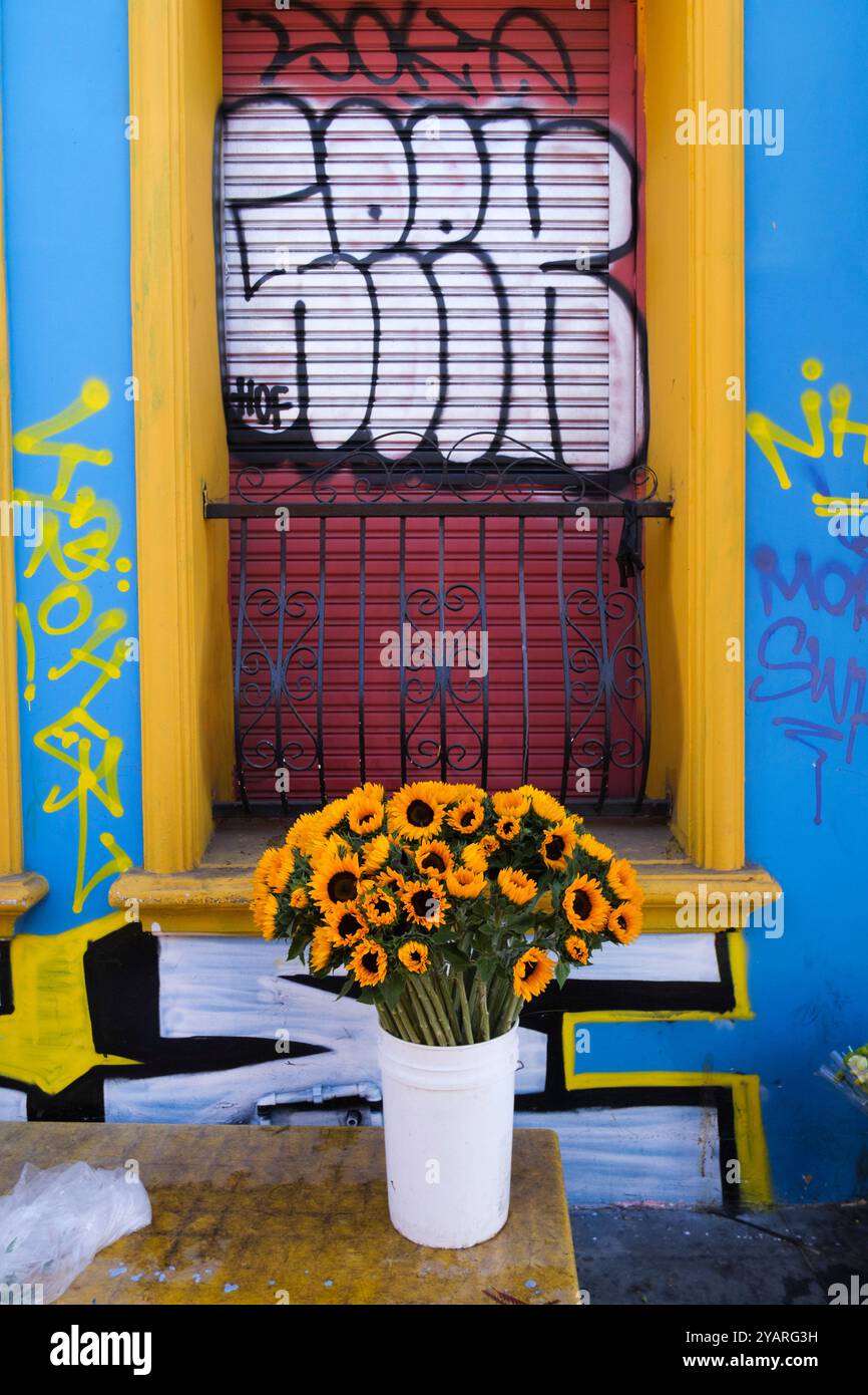 Flower district, downtown Los Angeles, California, United States of ...